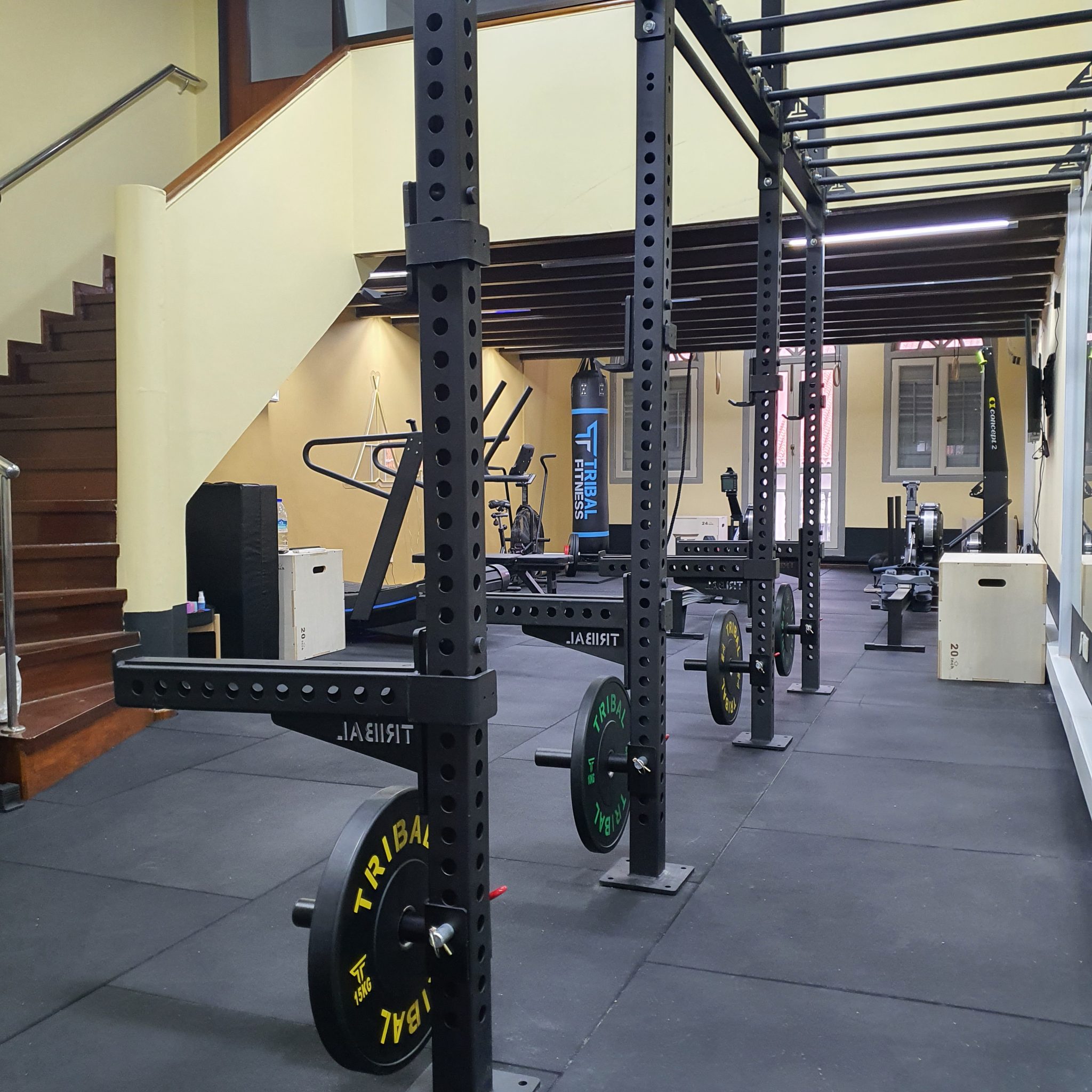 Tribal Fitness - Singapore - ExPRO